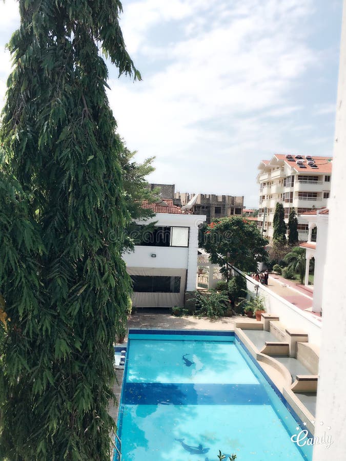 Beautiful Sunday morning stock image. Image of pool, sunday - 75772513