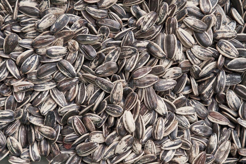 Beautiful Sunflower Seeds Image Stock Photo - Image of tasty, organic ...