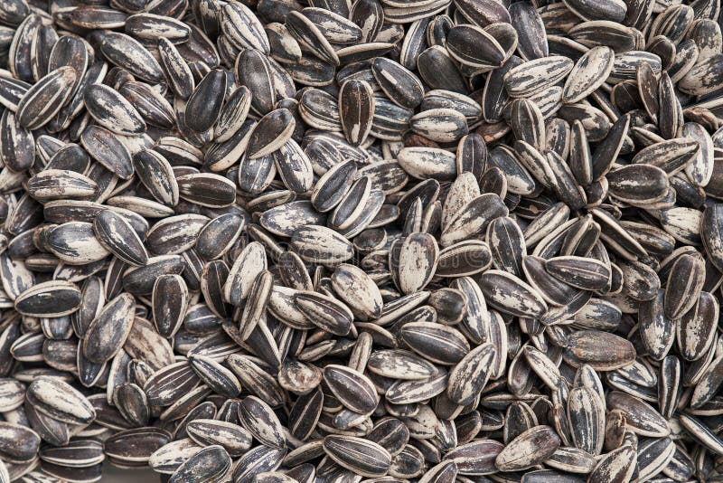 Beautiful Sunflower Seeds Image Stock Photo - Image of bunch, healthy ...