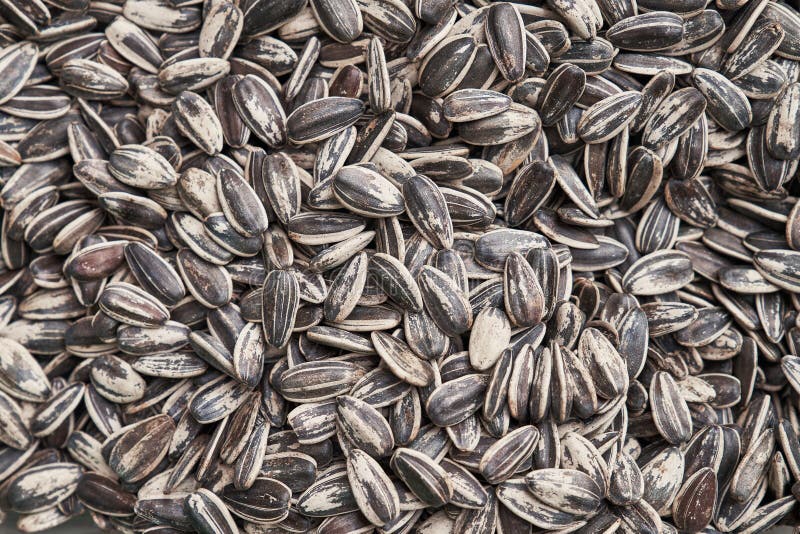 Beautiful Sunflower Seeds Image Stock Image - Image of seeds, nutrition ...