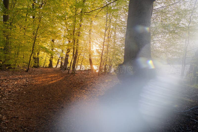 Beautiful Sunlight in Spring during a Forest Walk at the Lake Si Stock ...