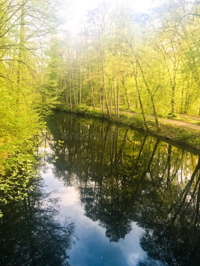 Beautiful Sunlight in Spring during a Forest Walk at the Lake Si Stock ...