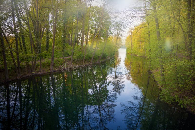 Beautiful Sunlight in Spring during a Forest Walk at the Lake Si Stock ...