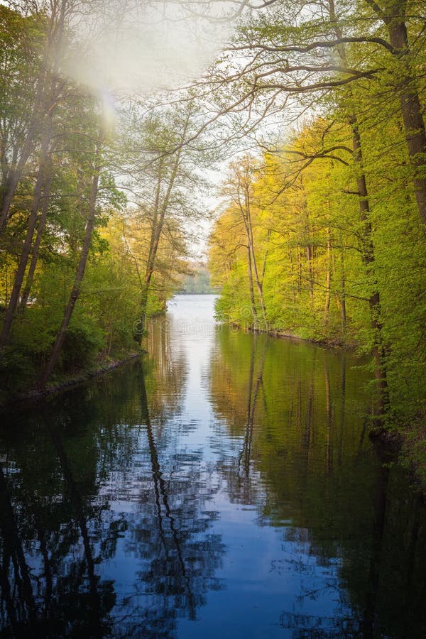 Beautiful Sunlight in Spring during a Forest Walk at the Lake Si Stock ...
