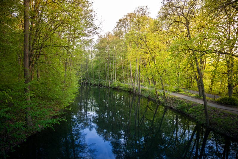 Beautiful Sunlight in Spring during a Forest Walk at the Lake Si Stock ...