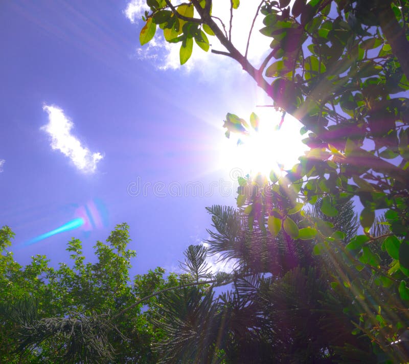 The beautiful sunlight stock image. Image of happiness - 92040871