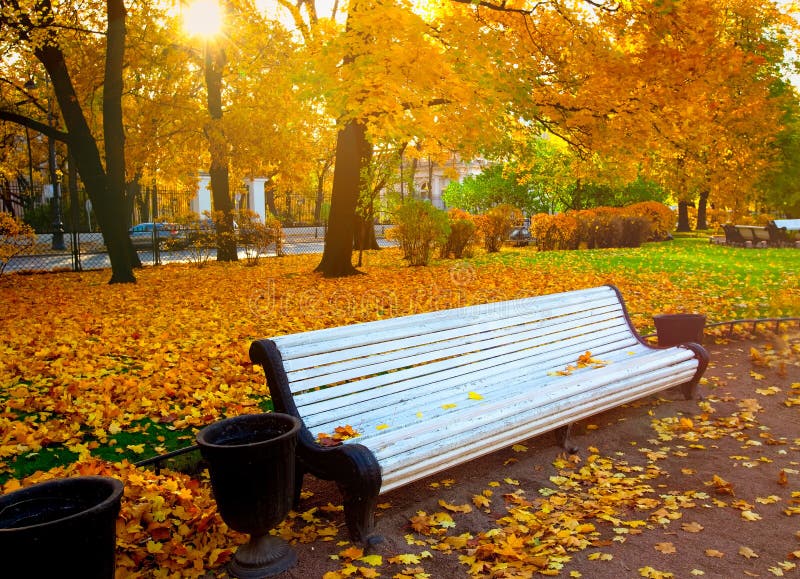 White Bench in the Autumn Season Park Stock Image - Image of path ...