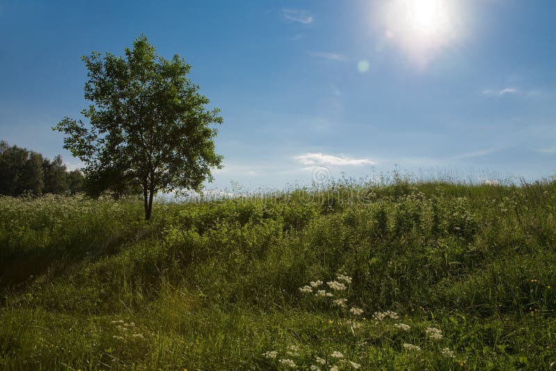 Beautiful sunny day. stock image. Image of holiday, design - 8031355