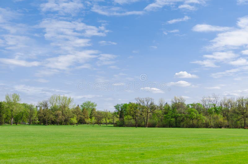 Beautiful Sunny Day in Park at Spring Time Stock Photo - Image of ...