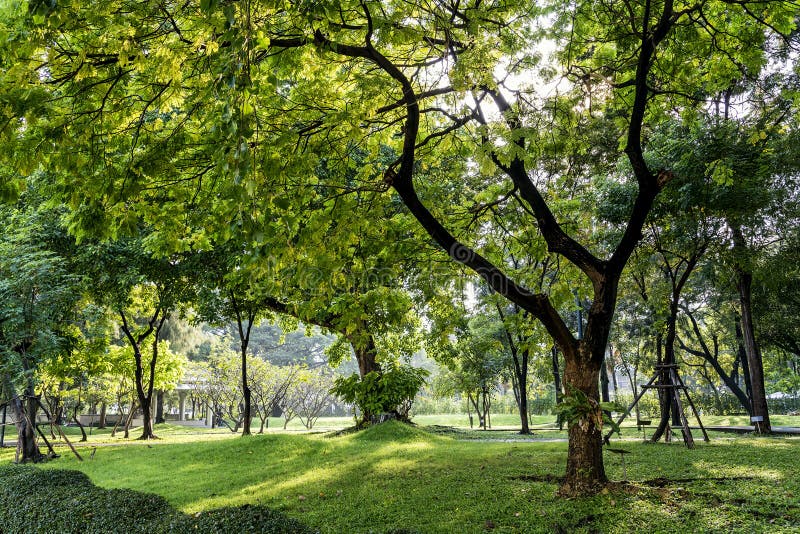 Beautiful Sunny Day in Park at Spring Time Stock Image - Image of ...