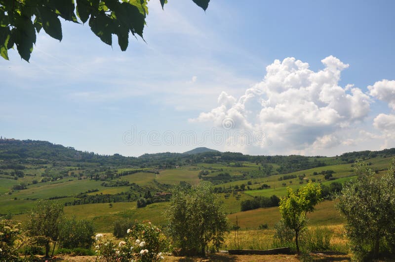Large Italian Fields with Vegetation Stock Photo - Image of agriculture ...