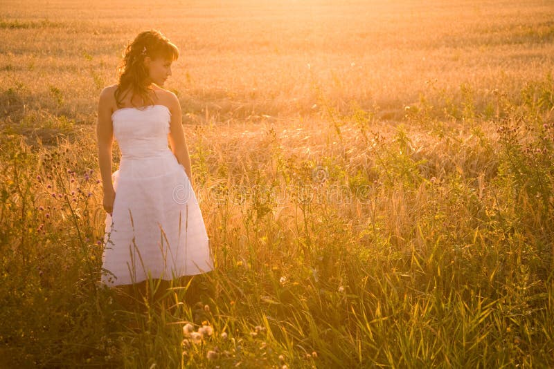 Beautiful sunny evening stock photo. Image of 2025, outdoors - 27898532