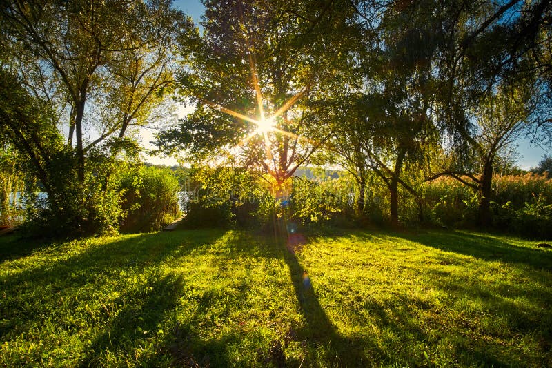 Sunny park stock image. Image of summer, tranquil, nature - 132638447