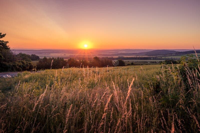 Beautiful sunny morning. stock photo. Image of field - 99893516