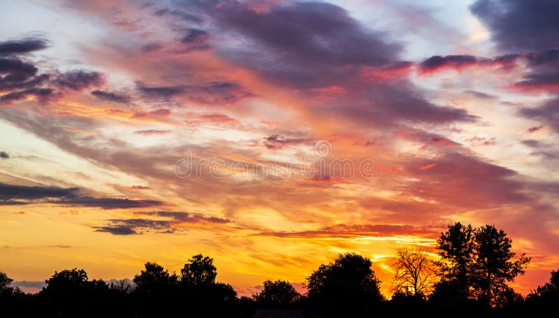 Beautiful Sunny Sunset with Silhouettes of Trees at the Bottom of the ...