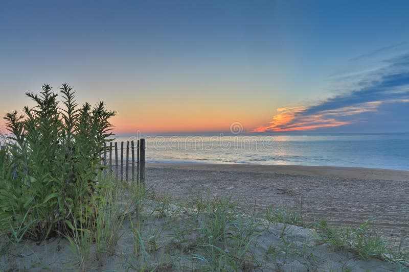 Sunrise at Bethany Beach, Deleware Stock Image - Image of plants ...