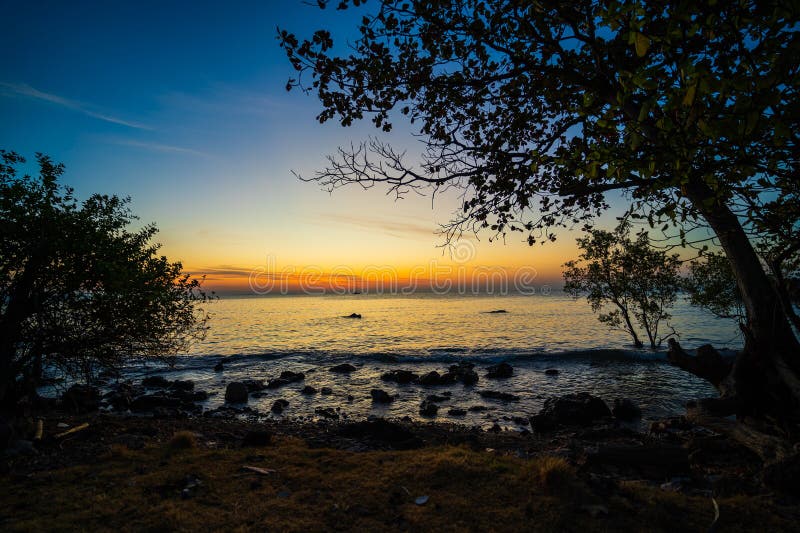 Beautiful Sunrise on the Beach with Deep Blue Sky and Tree Shadow Stock ...