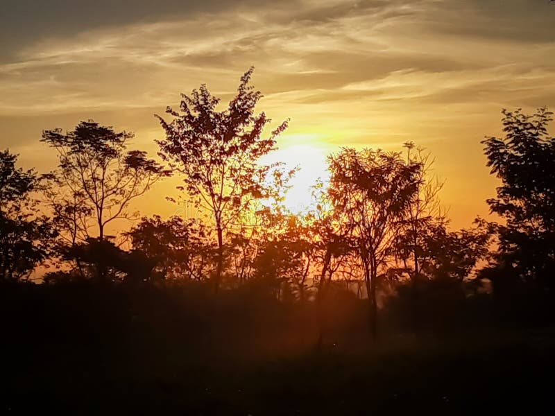 Beautiful Sunrise Behind the Trees Stock Image - Image of natural, dark ...