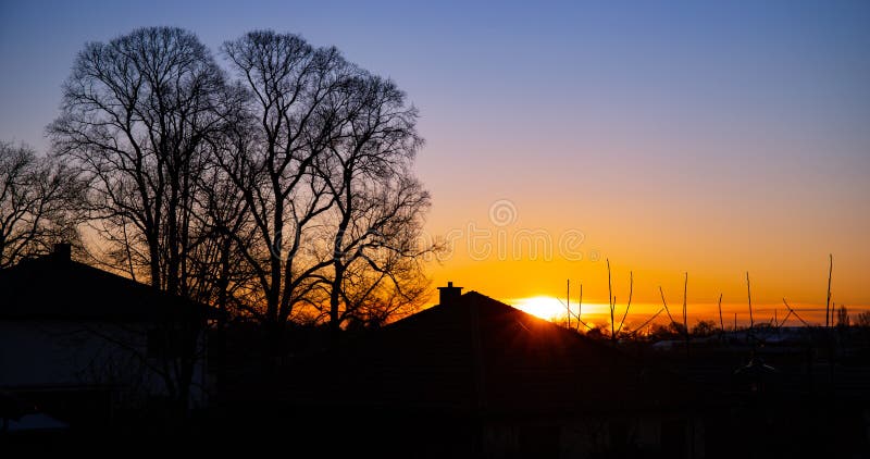 This Beautiful Sunrise Behind the Trees and the Houses in the ...