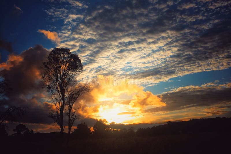 Beautiful Sunrise Behind Trees Stock Image - Image of sunset, trees ...