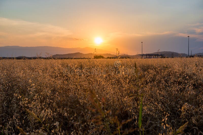 Sunrise at Field stock image. Image of peaceful, field - 91054889