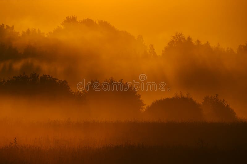 Beautiful Sunrise in Forest Stock Photo - Image of colorful, mist ...
