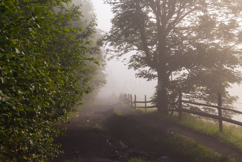 Beautiful Sunrise with the Morning Mist Stock Photo - Image of mist ...