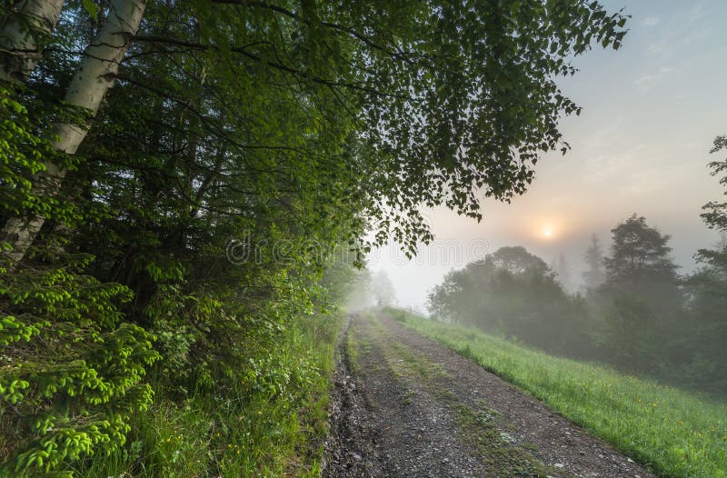 Beautiful Sunrise with the Morning Mist Stock Photo - Image of slope ...