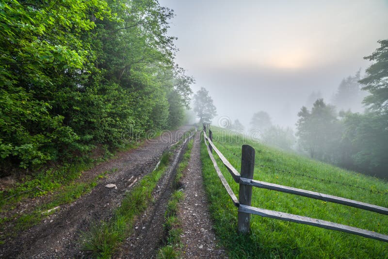 Beautiful Sunrise with the Morning Mist Stock Photo - Image of nature ...