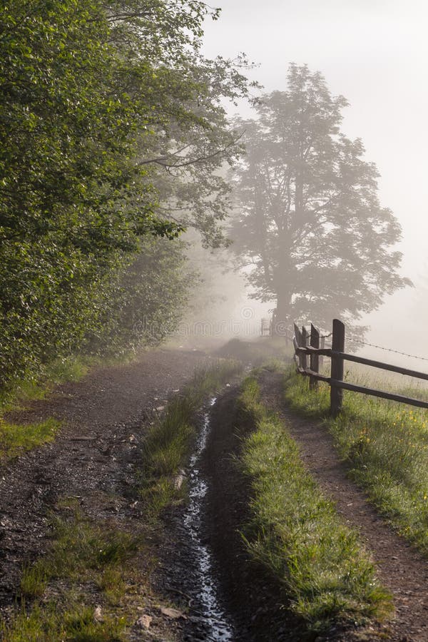 Beautiful Sunrise with the Morning Mist Stock Image - Image of slope ...
