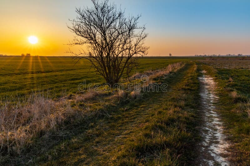 Beautiful Sunrise at Morning Over Huge Fields Stock Photo - Image of ...