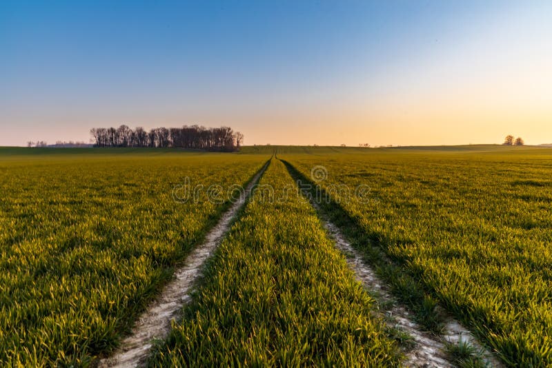 Beautiful Sunrise at Morning Over Huge Fields Stock Photo - Image of ...