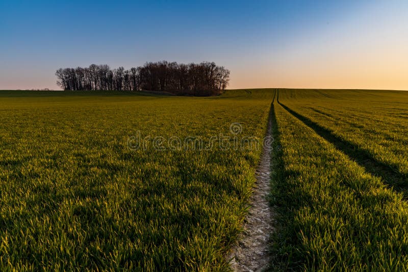 Beautiful Sunrise at Morning Over Huge Fields Stock Photo - Image of ...