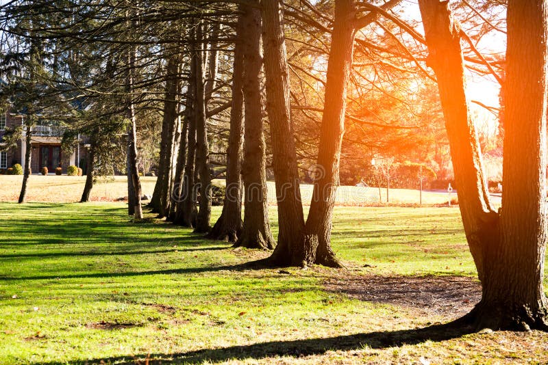 Beautiful Sunrise in the Morning and Shadows of the Tree I Stock Image ...