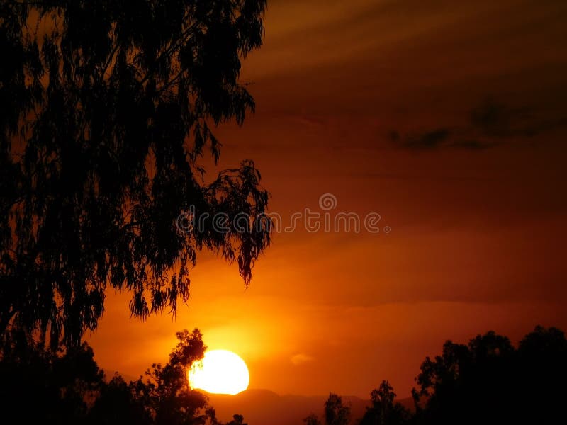 Equator Sunrise stock photo. Image of sunrise, landscape - 101148182
