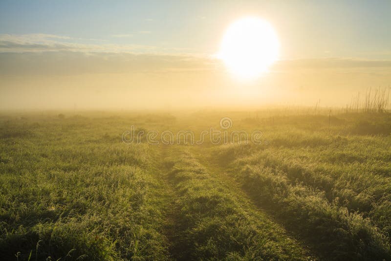 Beautiful Sunrise Over the Field. Stock Photo - Image of dawn, horizon ...