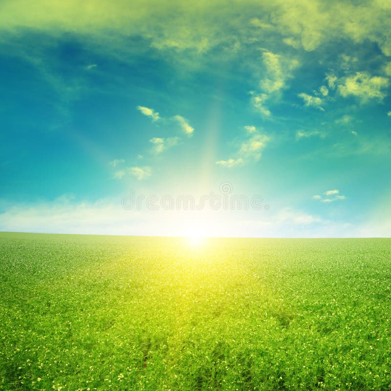 Beautiful sunrise stock photo. Image of morning, floral - 64819144