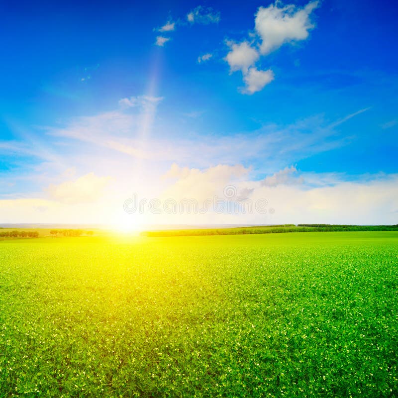 Beautiful Sunrise Over Field Stock Photo - Image of outdoor, beautiful ...