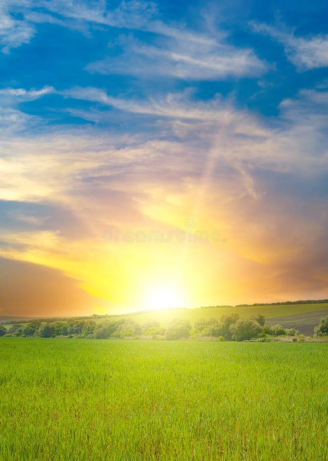 Beautiful Sunrise Over Green Field. Blue Sky and Clouds Stock Photo ...