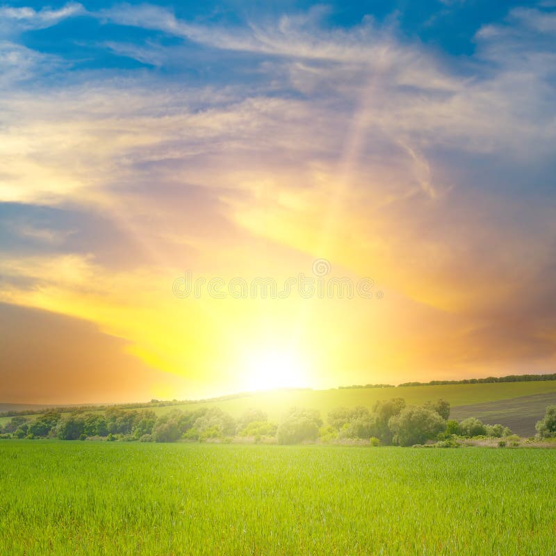 Beautiful Sunrise Over Green Field. Blue Sky and Clouds Stock Image ...