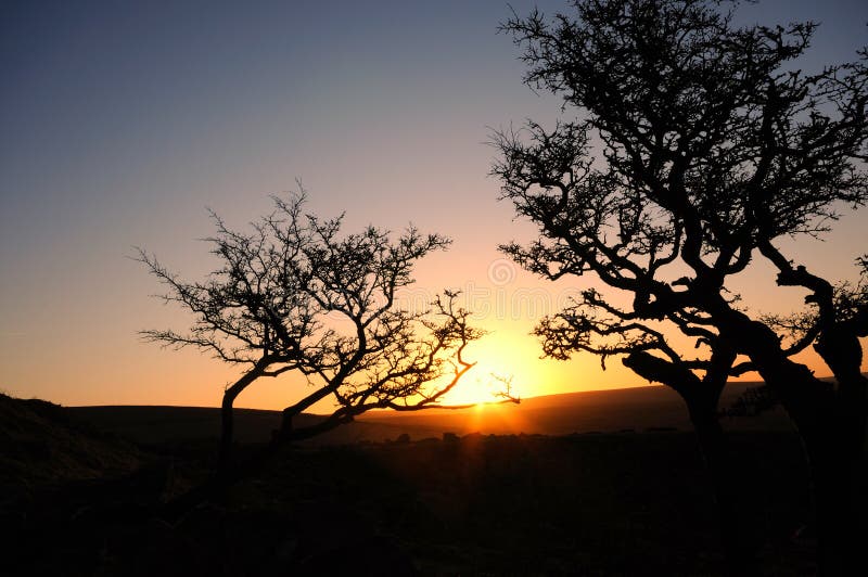 The Beautiful Sunrise Over the Moor Stock Image - Image of sunrise ...