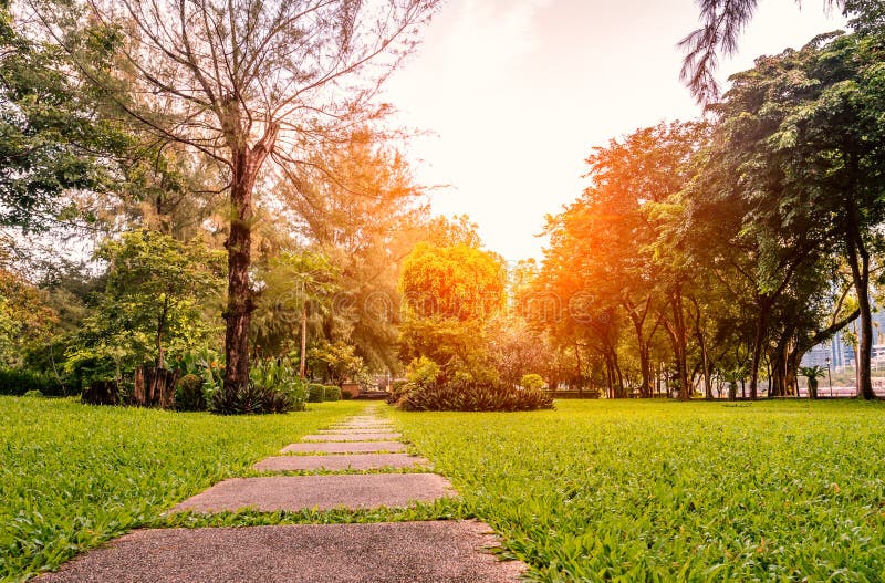 Sunrise Over Public Park in the Morning Stock Image - Image of spring ...