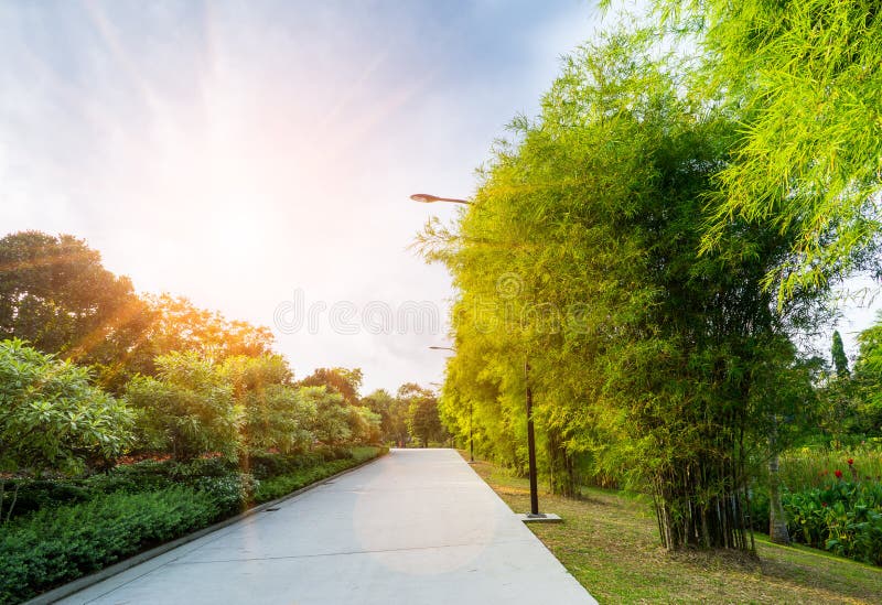 Beautiful Sunrise in the Park with Pathway. Stock Image - Image of ...