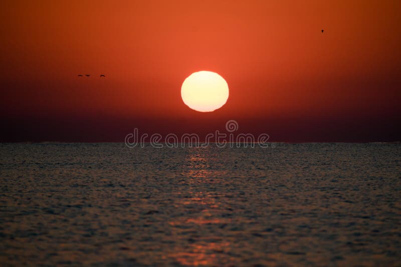 Beautiful Sunrise at Sea. the Sun Rises from the Sea Stock Photo ...