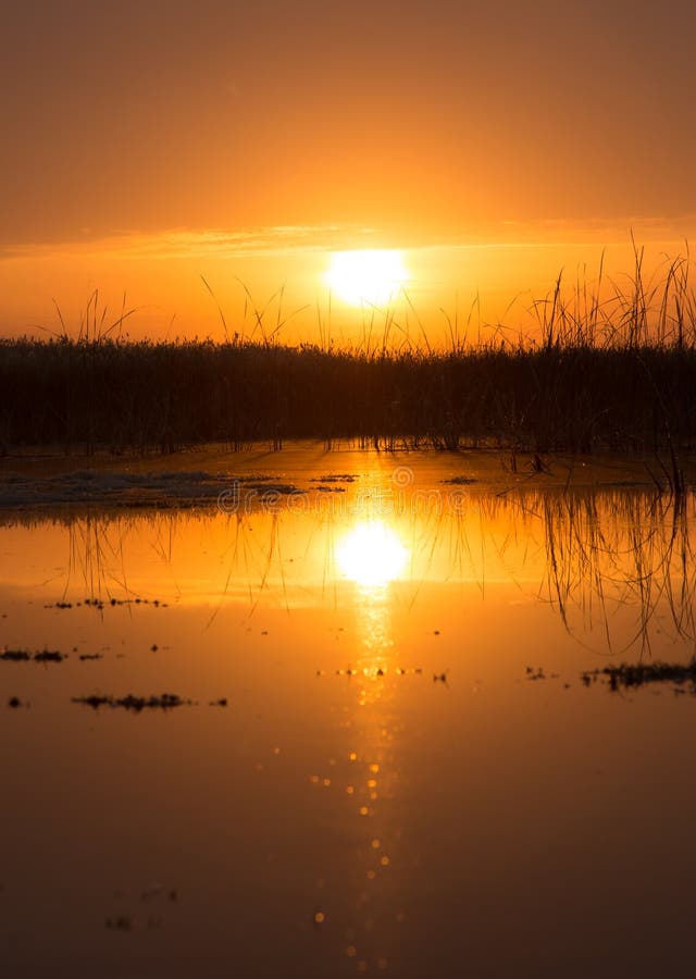Beautiful Sunrise of the Sun on the Lake Stock Photo - Image of ...