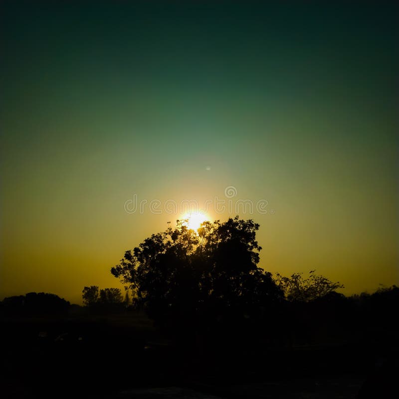 Beautiful Sunrise between the Trees Stock Image - Image of colorful ...