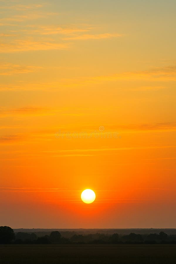 A Beautiful Sunrise View with Radish Sky Stock Image - Image of ...