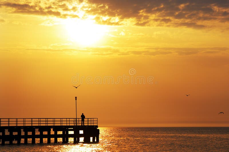 Beautiful stock image. Image of elegant, domestic, colour - 10069679