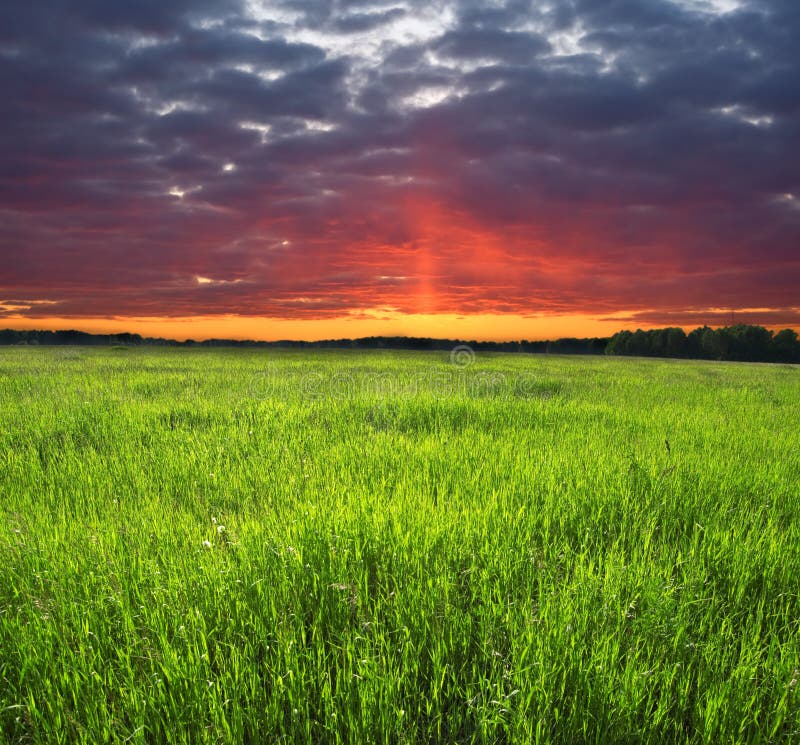 Beautiful sunset stock photo. Image of season, meadow - 15854042