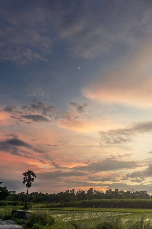 A Beautiful Sunset Afternoon Landscape with Bright Orange Clouds Stock ...